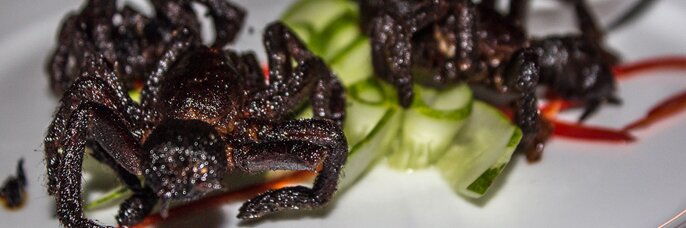 17 disgusting dishes from around the world